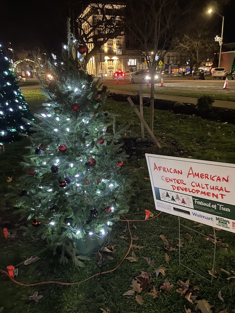 Festival of Trees Olean New York
